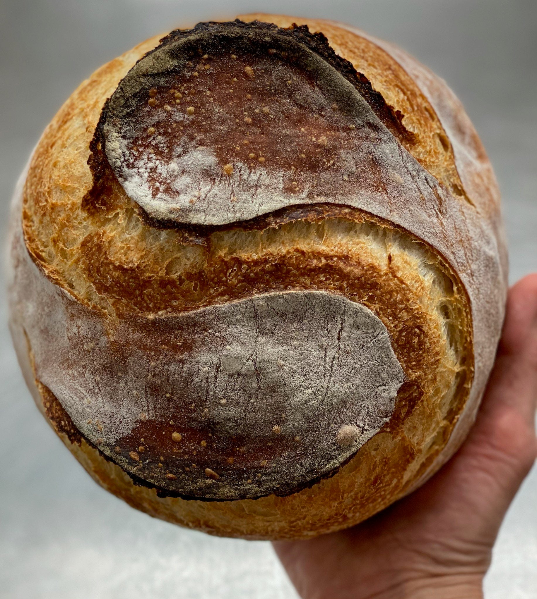 Sourdough | Jen's Artisan Breads
